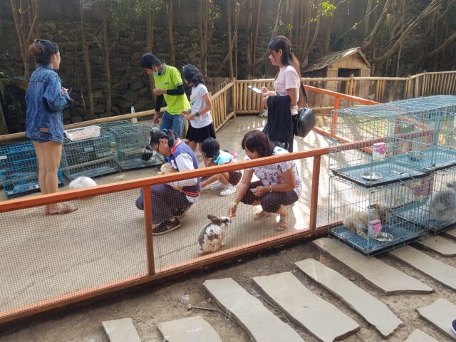RUMAH GUGUK Bandung Tiket & Wahana Pet Terlengkap May 2026