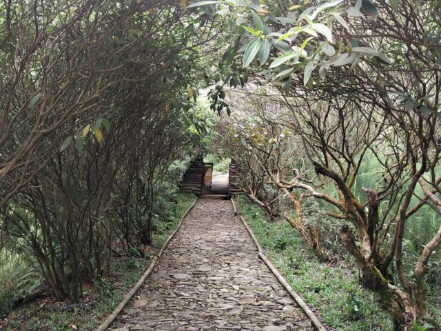 LEMBAH TEPUS Tiket, Daya Tarik, Fasilitas & Akses - Oktober 2025