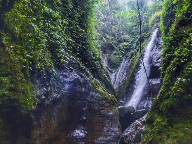 CURUG KIARA Tiket & Keindahan Alam - Agustus 2025