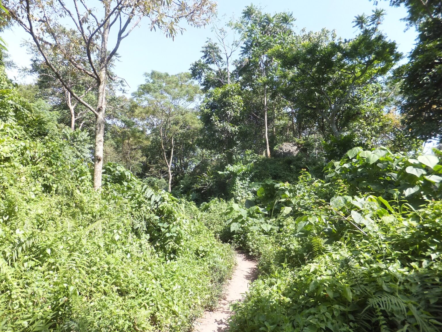 GUNUNG MUNARA Harga Tiket Dan Daya Tarik - Oktober 2025