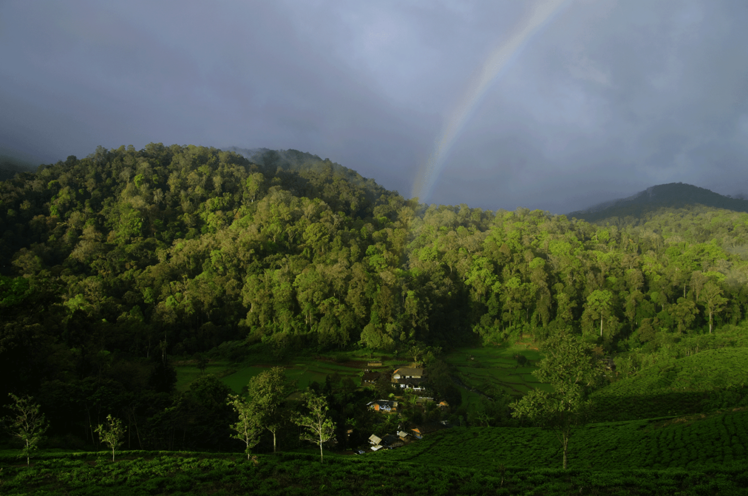 DESA WISATA MALASARI Tiket & Ragam Pesona Jun 2026