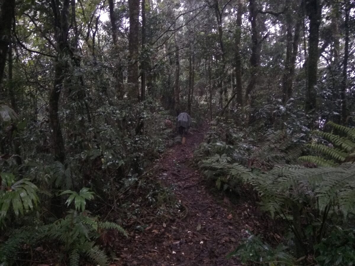 GUNUNG BURANGRANG Tiket & 4 Jalur Pendakian Jun 2026