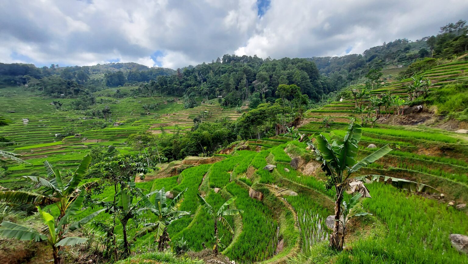 DESA WISATA MALASARI Tiket & Ragam Pesona Jun 2026