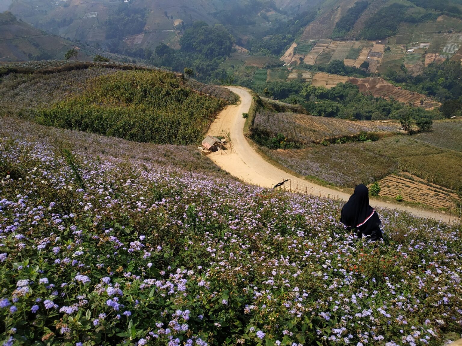 TERASERING PANYAWEUYAN Tiket & Ragam Pesona - Oktober 2025