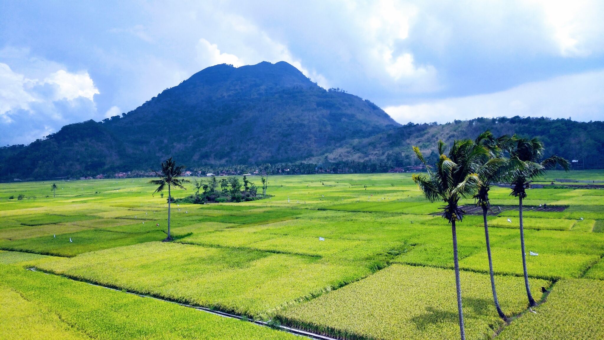 GUNUNG SAGARA Tiket & Daya Tarik Juni 2023