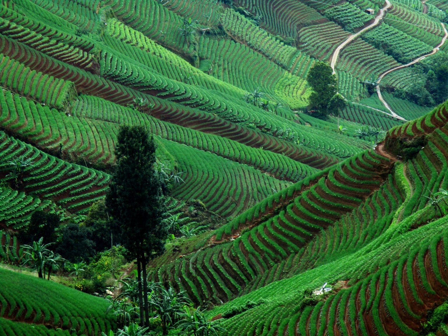 TERASERING PANYAWEUYAN Tiket & Ragam Pesona - Oktober 2025