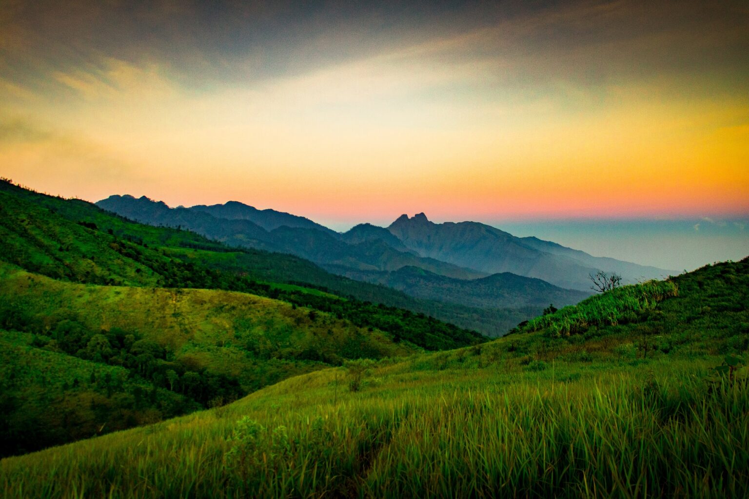Gunung Pundak Harga Tiket Masuk dan Jalur Pendakian - Oktober 2025