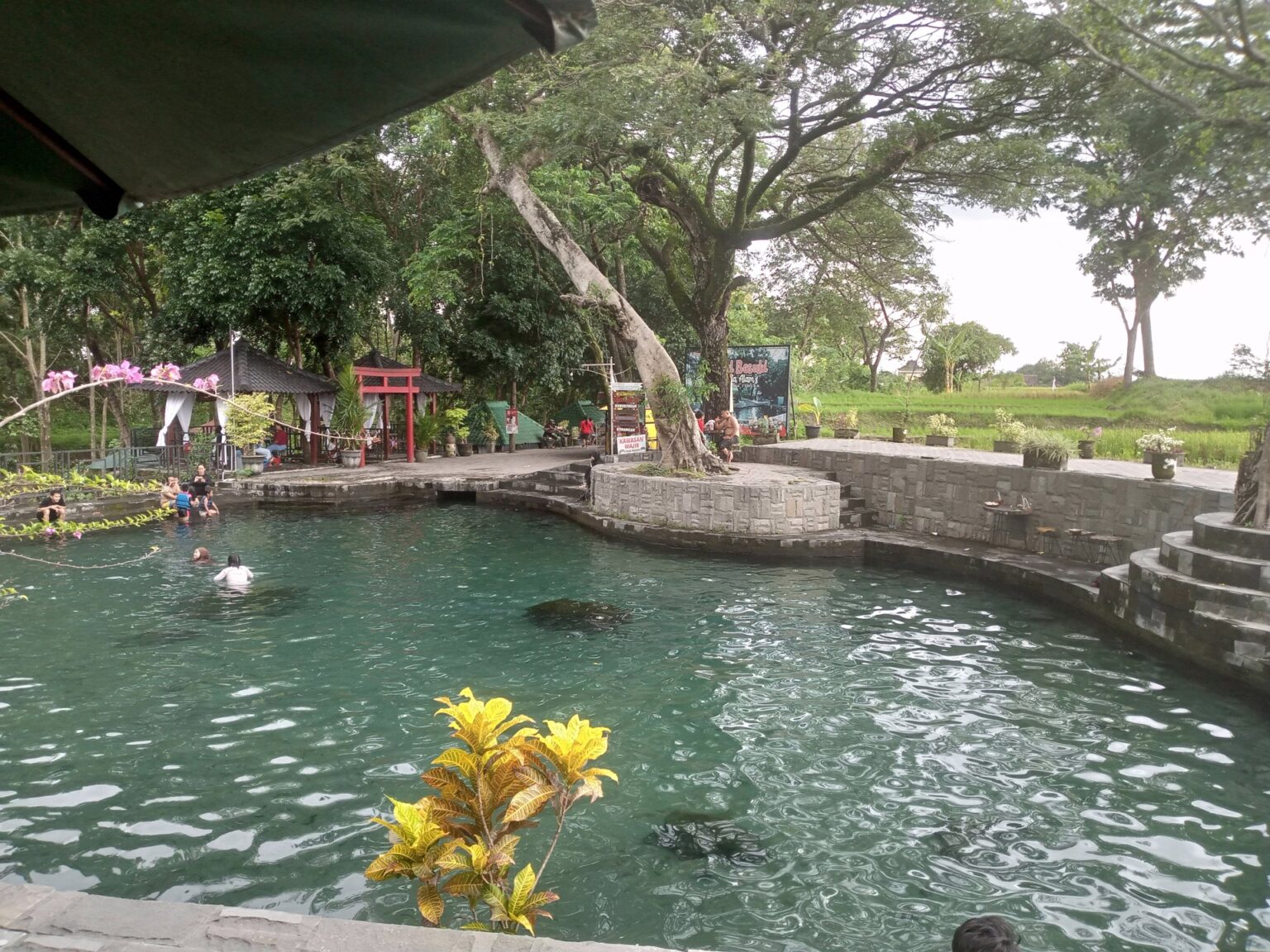 UMBUL BESUKI: Tiket & Aktivitas - Oktober 2025