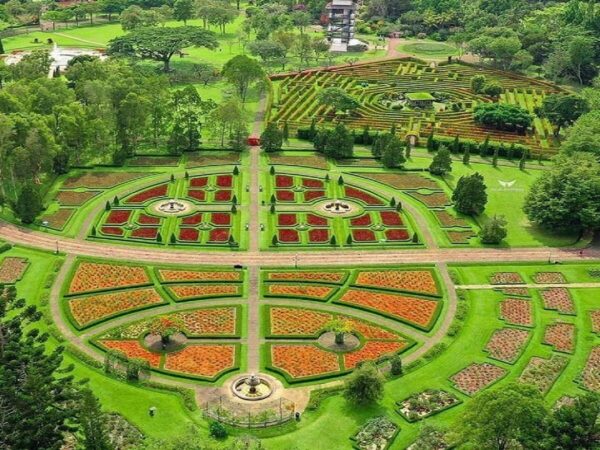 7 Tempat Wisata di Puncak Bernuansa Alam Memukau