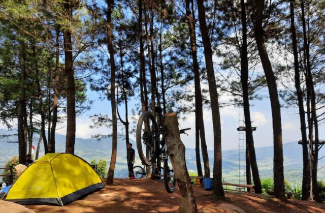 HUTAN PINUS BOGOR : Ini 7 Destinasi Terbaik