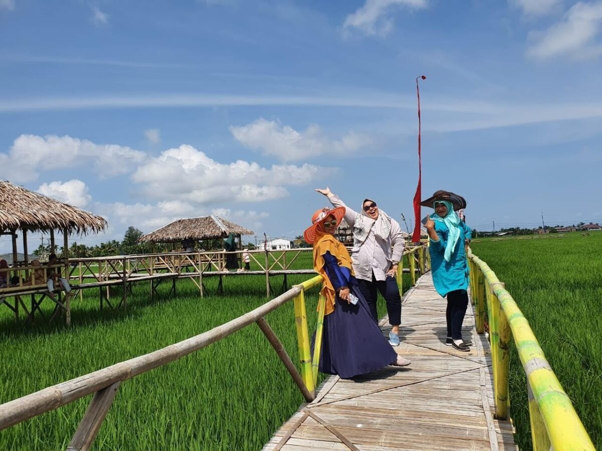 WISATA SAWAH PEMATANG JOHAR Tiket & Daya Tarik May 2026