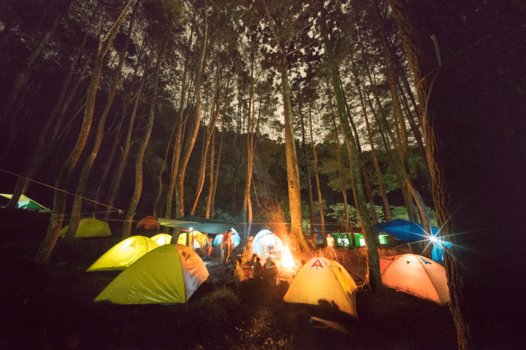 HUTAN PINUS BOGOR : Ini 7 Destinasi Terbaik