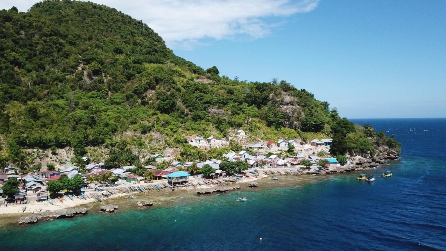 TAMAN LAUT OLELE Tiket Gratis Terumbu Karang Spektakuler Apr 2026