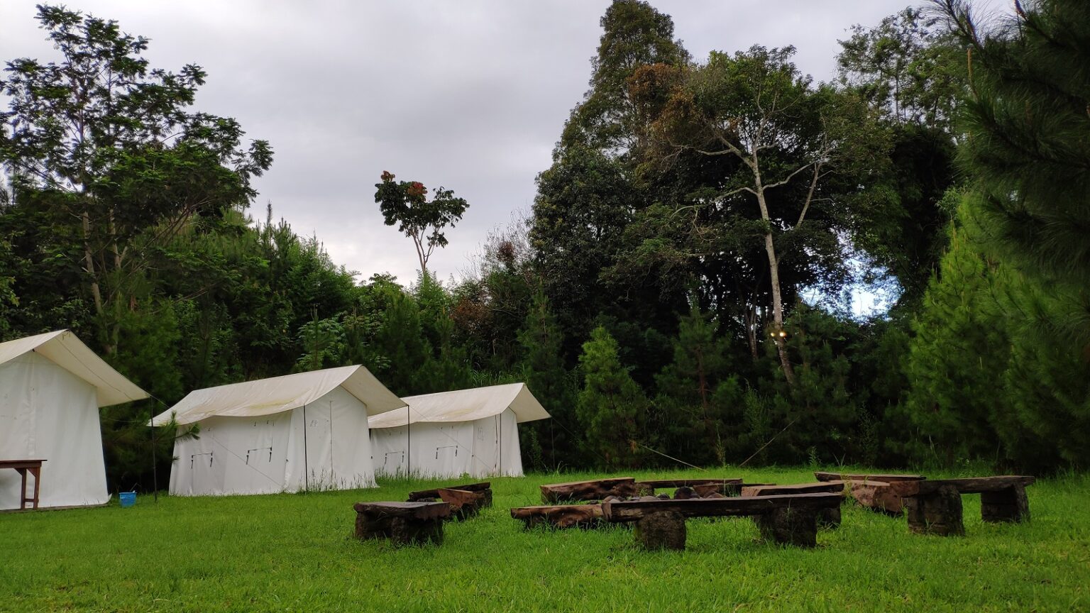 HUTAN PINUS BANDUNG : 7 Lokasi Wisata Menyejukkan