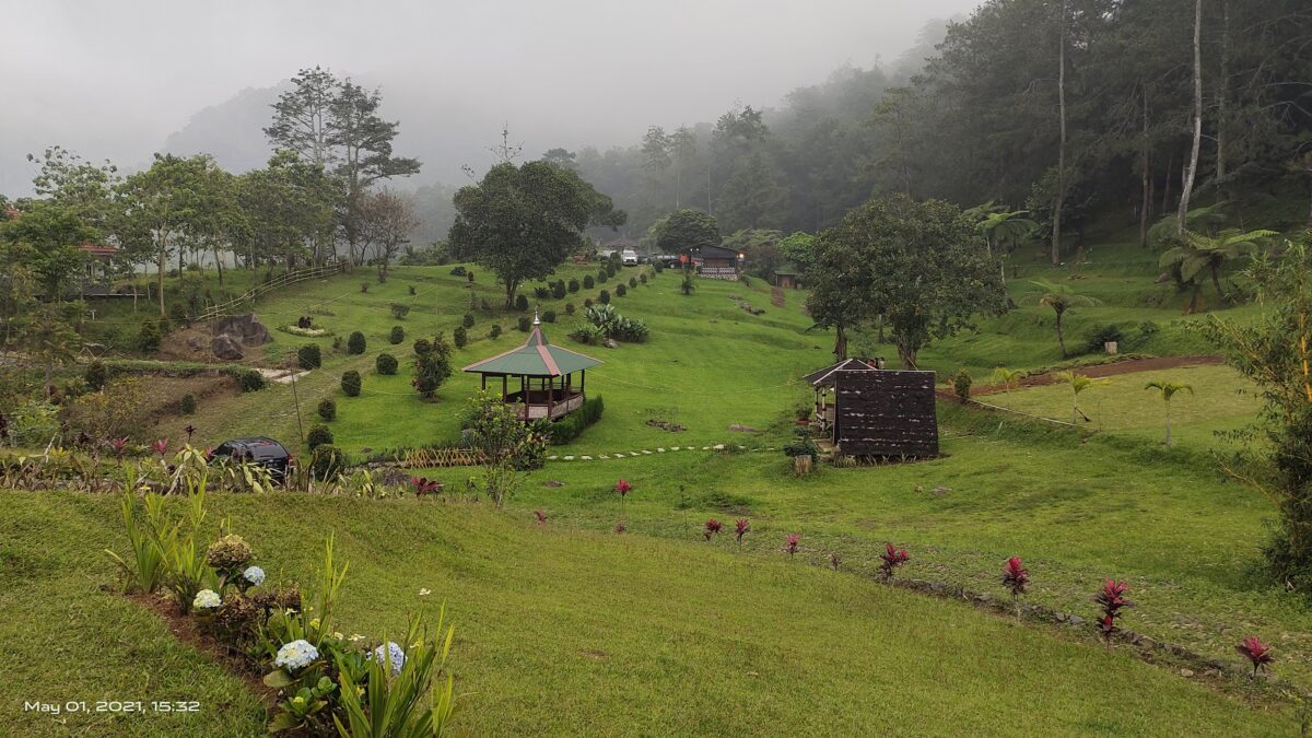 HUTAN PINUS BOGOR : Ini 7 Destinasi Terbaik