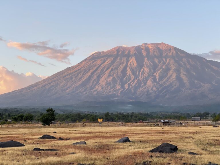 SAVANA TIANYAR Tiket Gratis Panorama Ala Afrika Jun 2026