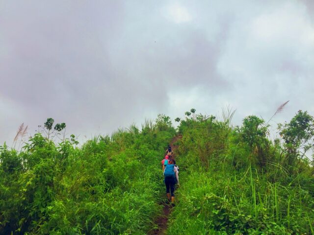 PUNCAK BUKIT WATU JENGGER Tiket Masuk & Aktivitas - Oktober 2025