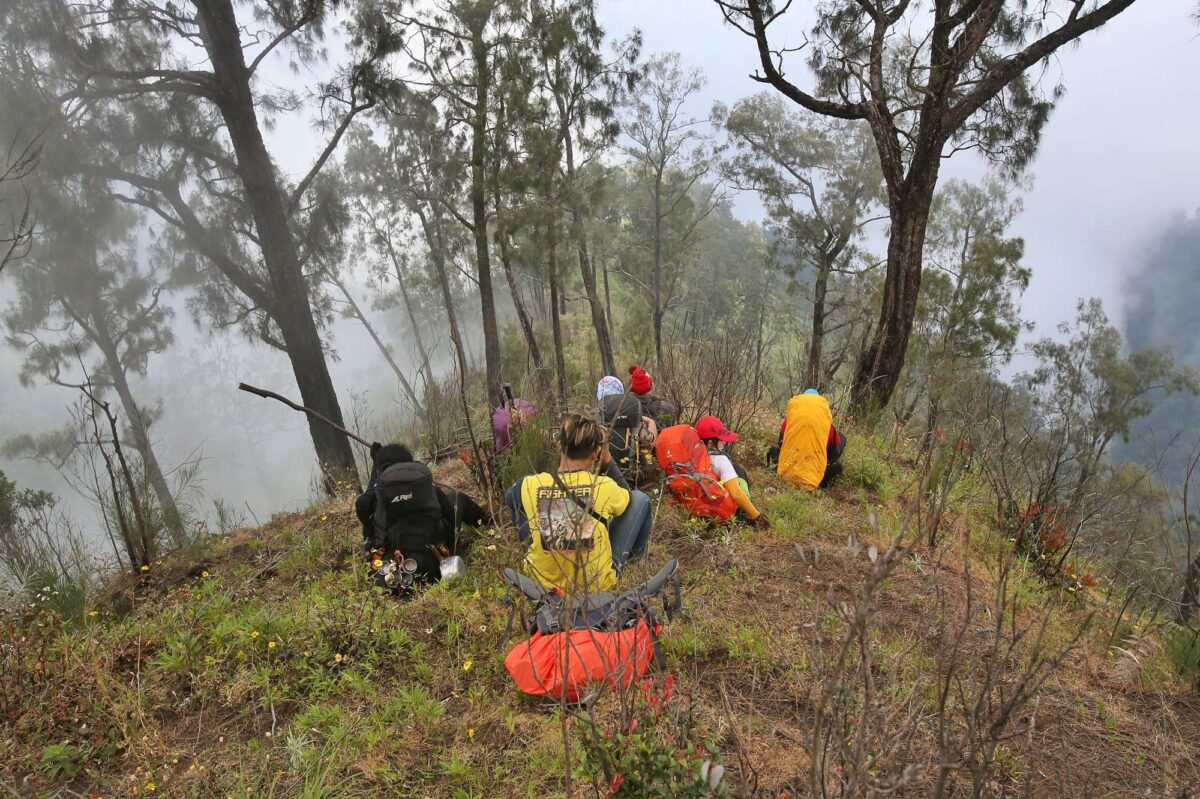 GUNUNG WILIS Tiket, Jalur Pendakian & Keindahan Juni 2026
