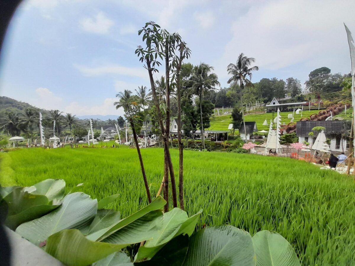 ANTAPURA DE DJATI Tiket, Wahana & Pesona Jun 2026