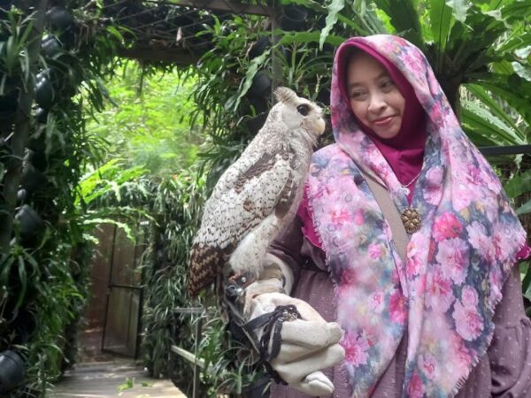 BIRD PAVILION Harga Tiket dan Ragam Aktivitas - September 2025