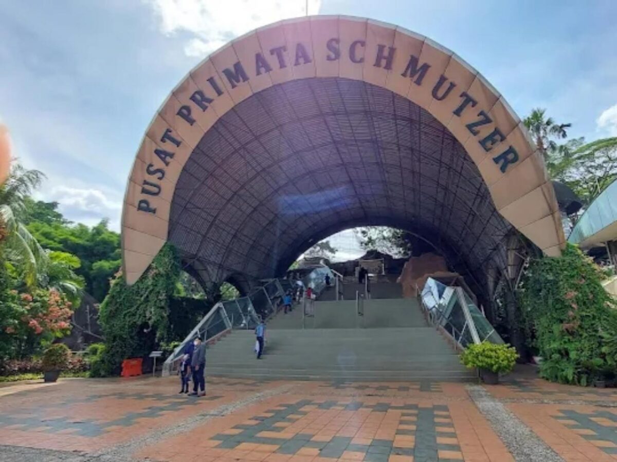 Taman Margasatwa Ragunan Tiket, Jam Buka & 10 Wahana - Oktober 2025