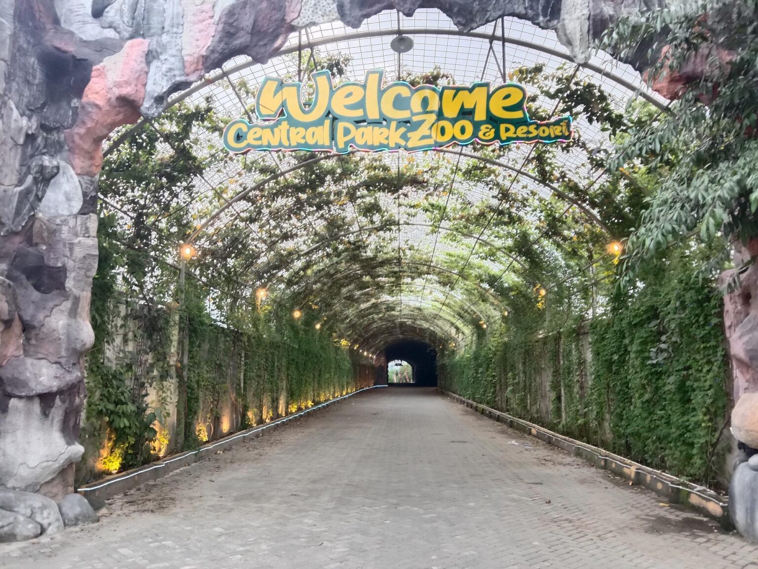 Central Park Zoo Tiket Masuk dan Wahana Jun 2026