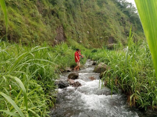 KALIKUNING PARK Tiket Murah Pemandangan Merapi - November 2024