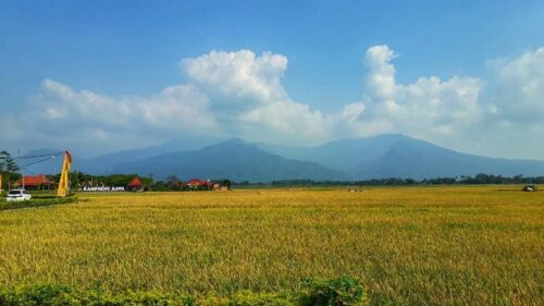 Kampoeng Rawa Tiket Masuk & Daya Tarik Apr 2026