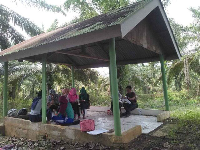 PRASASTI TALANG TUO Sejarah & Lokasi Ditemukan - November 2024