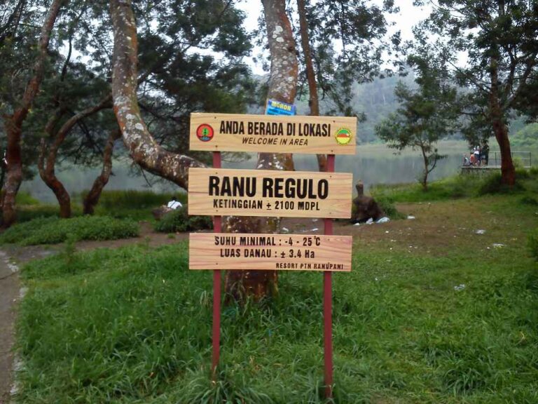 Tiket RANU REGULO, Area Camping dan Daya Tarik - Oktober 2025