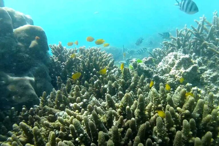 GILI LABAK Tiket Masuk, Snorkeling & Penginapan Apr 2026