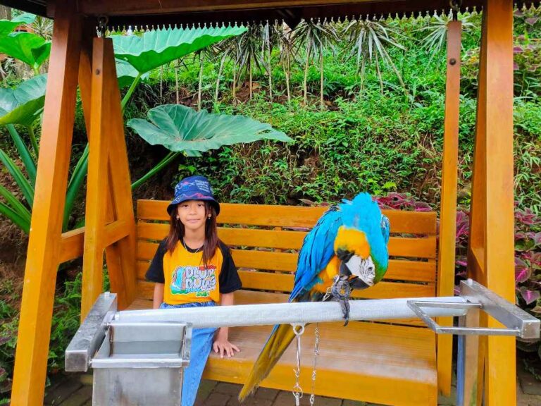 LOCCA LODGE TRAWAS Harga Glamping & Daya Tarik
