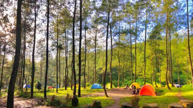 BUMI PERKEMAHAN BEDENGAN Harga Tiket Masuk, Daya Tarik