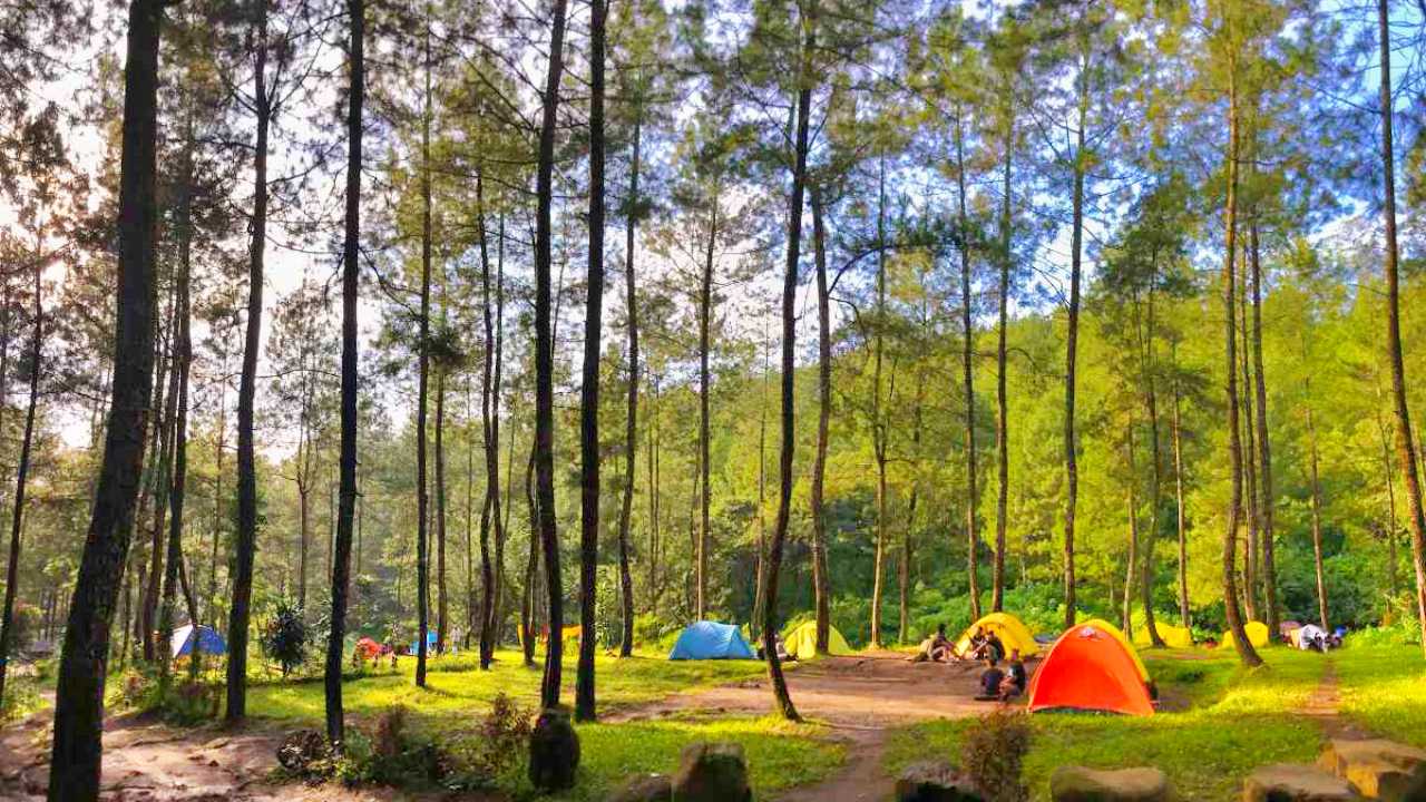 BUMI PERKEMAHAN BEDENGAN Harga Tiket Masuk, Daya Tarik