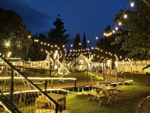 Kala Cemara Harga Menu, Suasana dan Daya Tarik