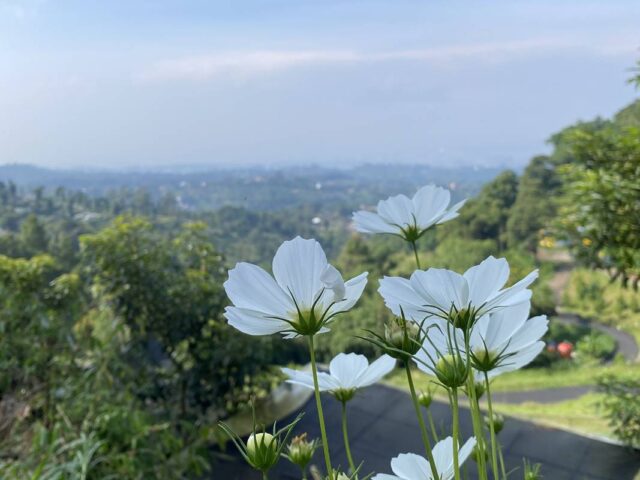 NOAH PARK Tiket Masuk, Wahana & Lokasi - Agustus 2025