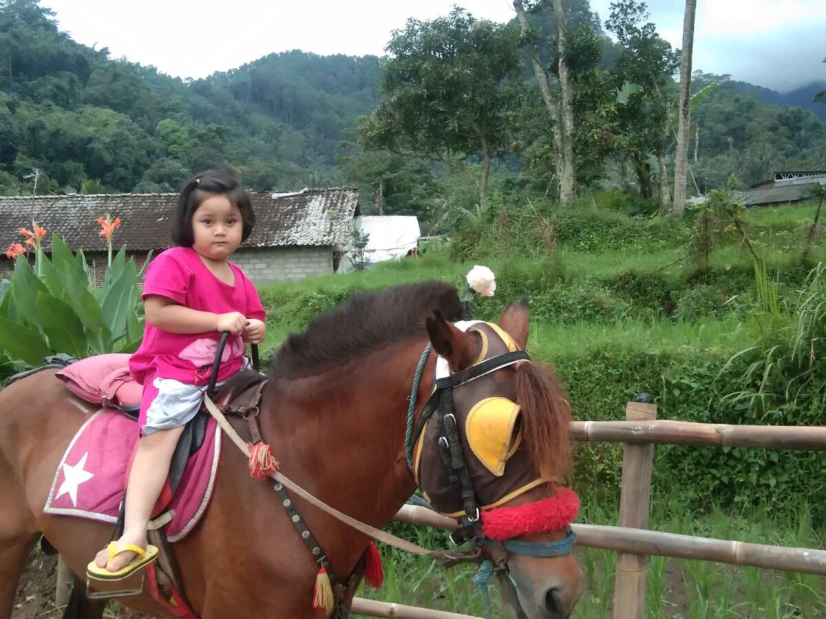 KALIKESEK Harga Tiket dan Ragam Aktivitas - Oktober 2025