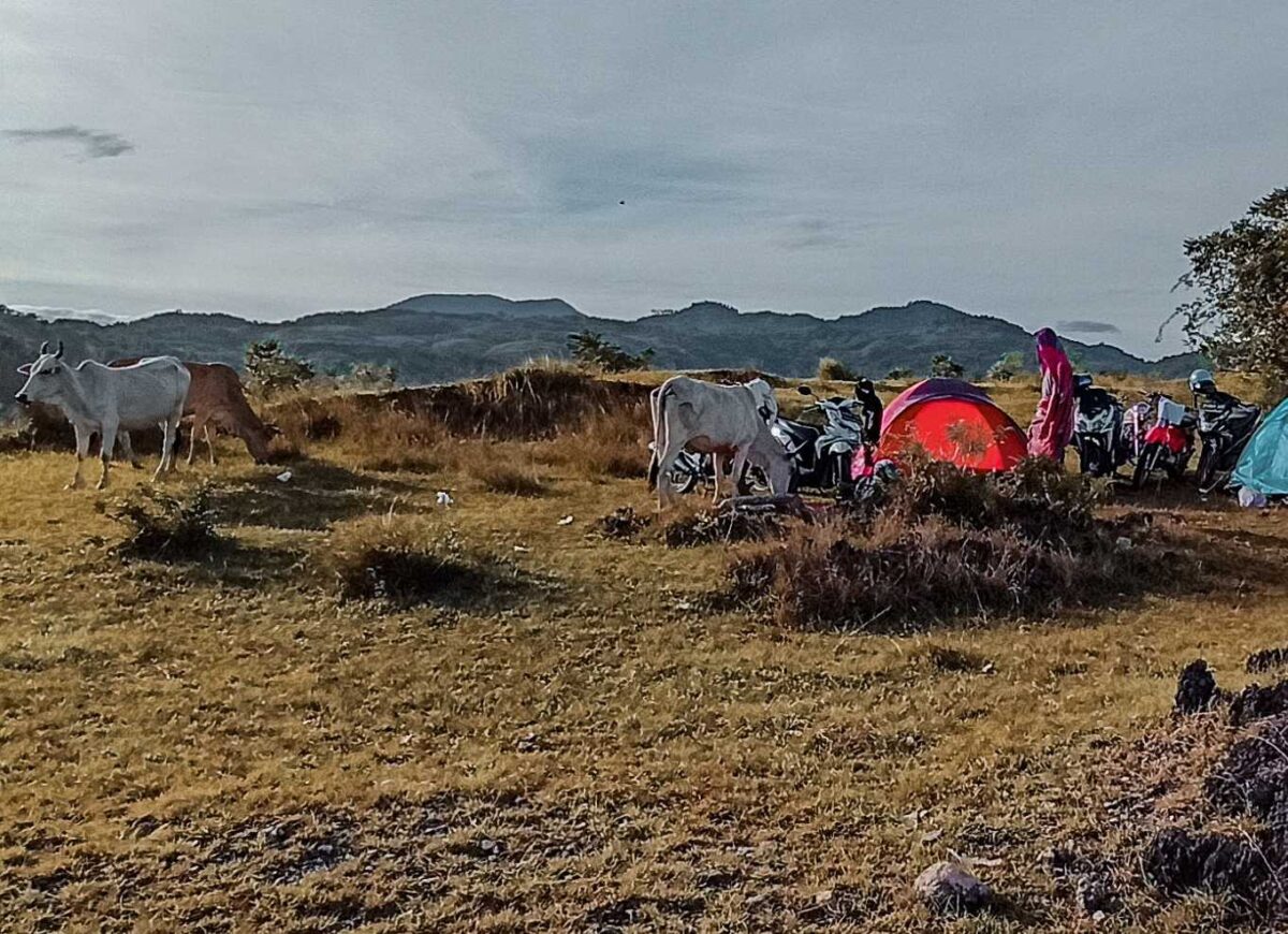 DANAU TAO Tiket, Daya Tarik, Fasilitas dan Lokasi Apr 2026